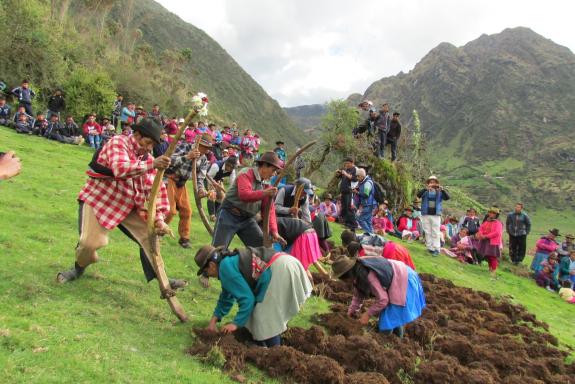 VOLUNTARIADO RURAL Y TRABAJO COMUNITARIO EN LAS COMUNIDADES INDÍGENAS Y ...