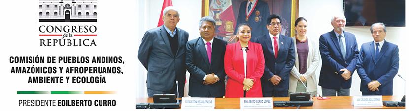 ¿Qué es la Función de Control Político?